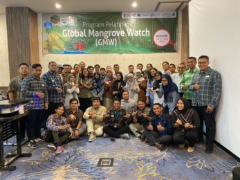 Peringati Hari Mangrove Sedunia, Global Mangrove Alliance (GMA) kenalkan platform Global ...