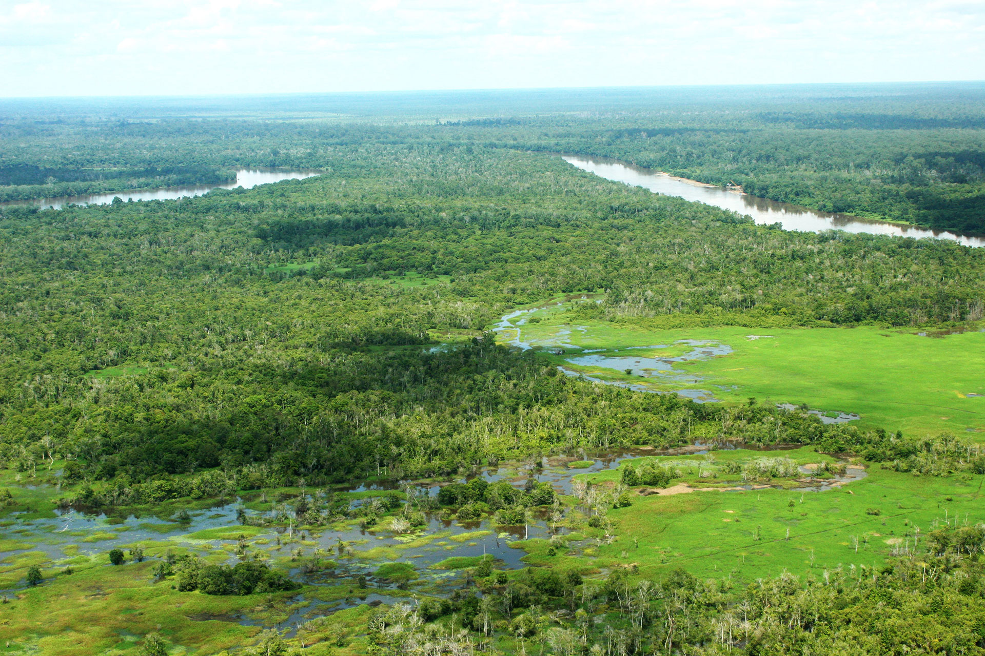 Wetlands - Wetlands International Indonesia