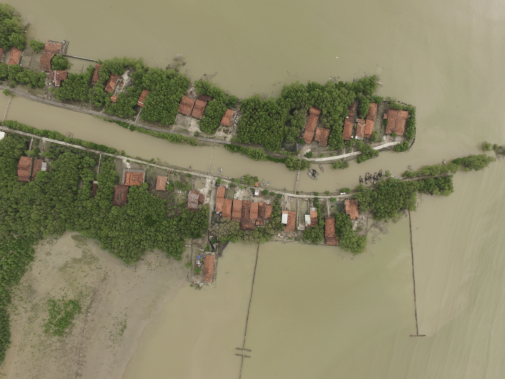 RESTORE the Sinking Shore: mini-documentary showing how Indonesia ...